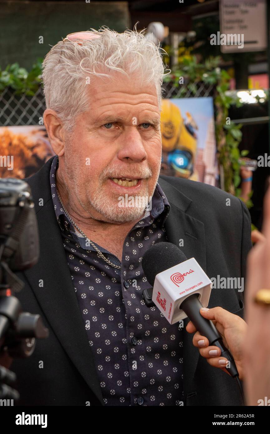 Transformers The Rise Of The Beasts New York City Red Carpet and ...