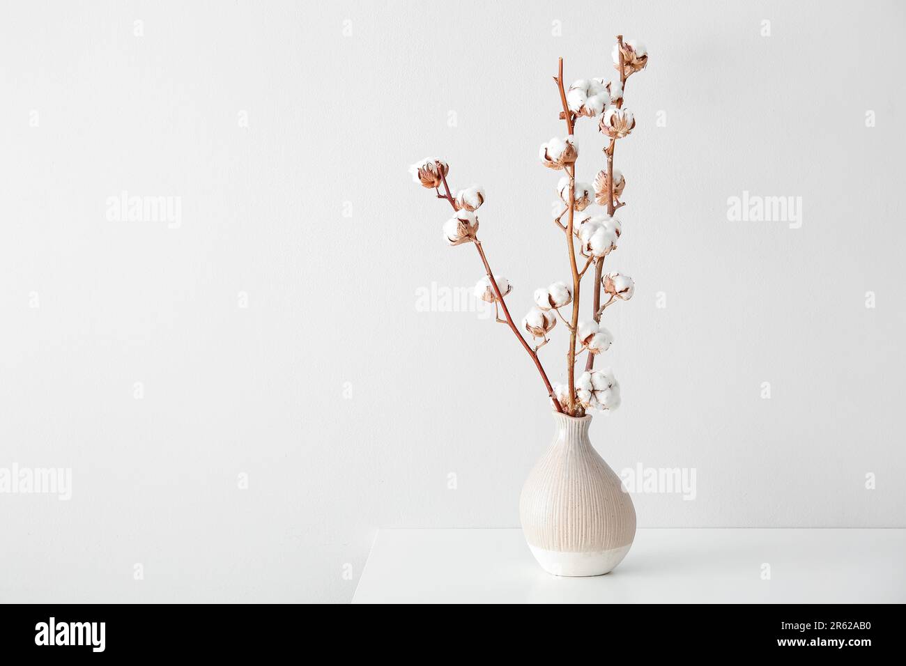 Cotton sprigs in vase on table near white wall Stock Photo - Alamy