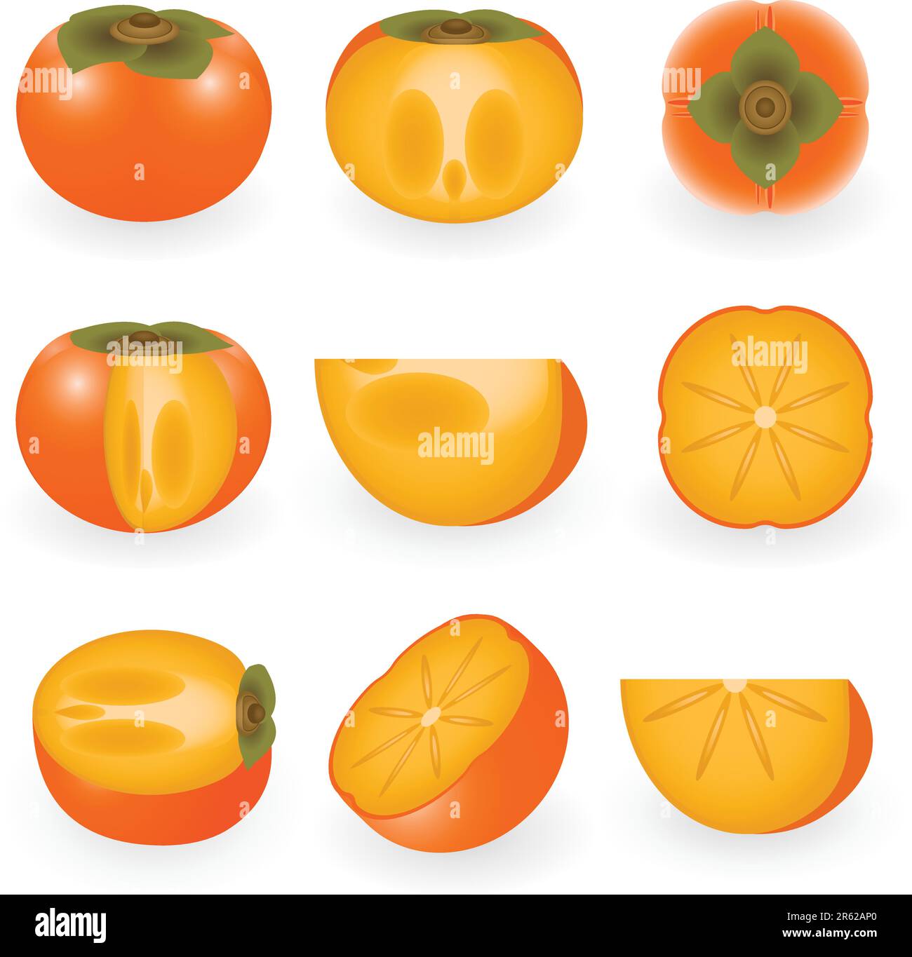 Vector illustration of persimmon Stock Vector Image & Art - Alamy