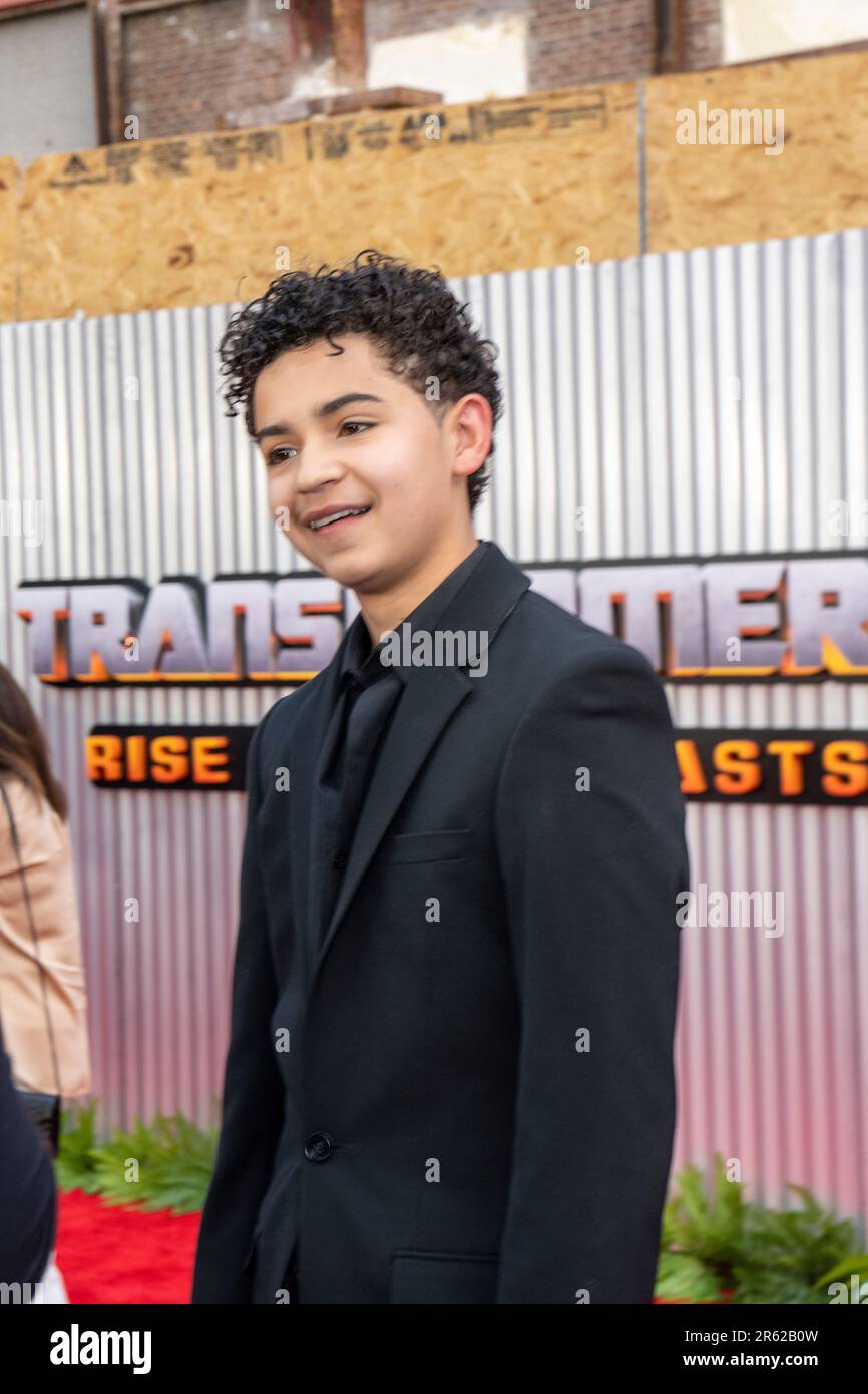 Transformers The Rise Of The Beasts New York City Red Carpet and ...