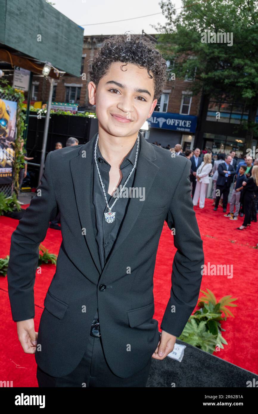 Transformers The Rise Of The Beasts New York City Red Carpet and ...