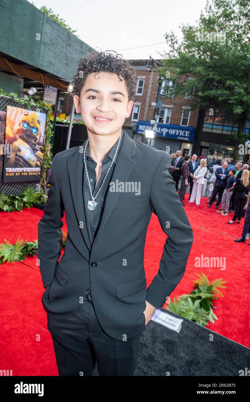 Transformers The Rise Of The Beasts New York City Red Carpet and ...