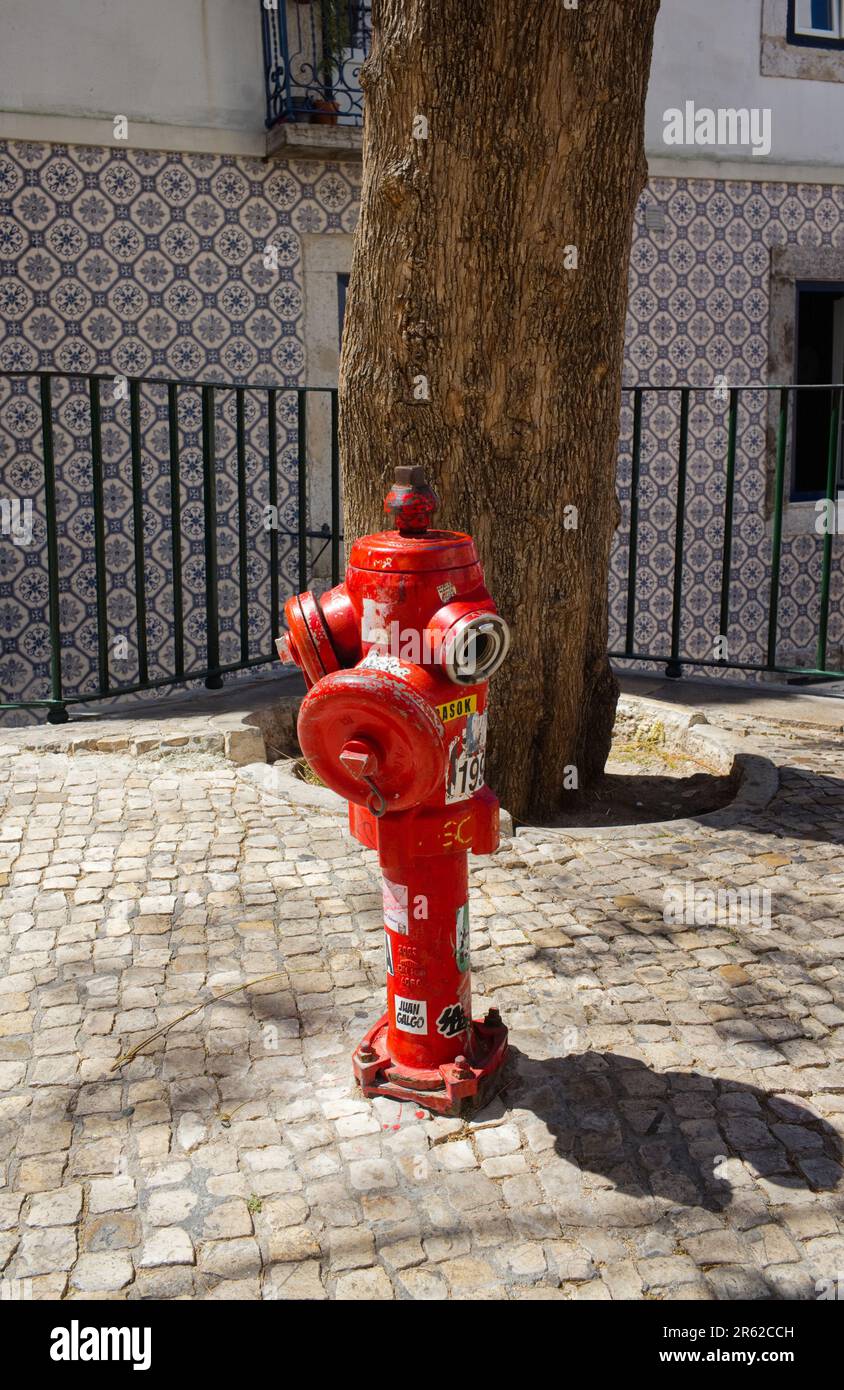 Fire hydrant with tree hi-res stock photography and images - Alamy