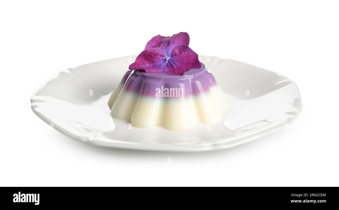 Plate of panna cotta with beautiful hydrangea flower on white ...