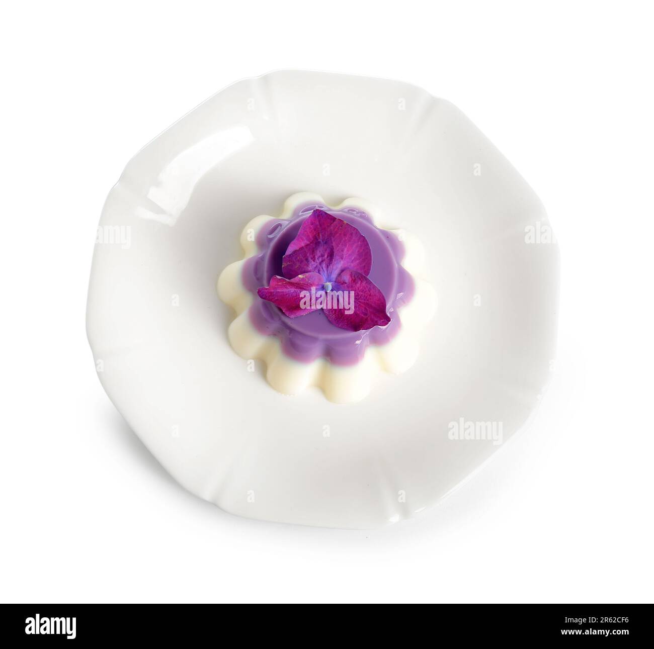 Plate of panna cotta with beautiful hydrangea flower on white ...