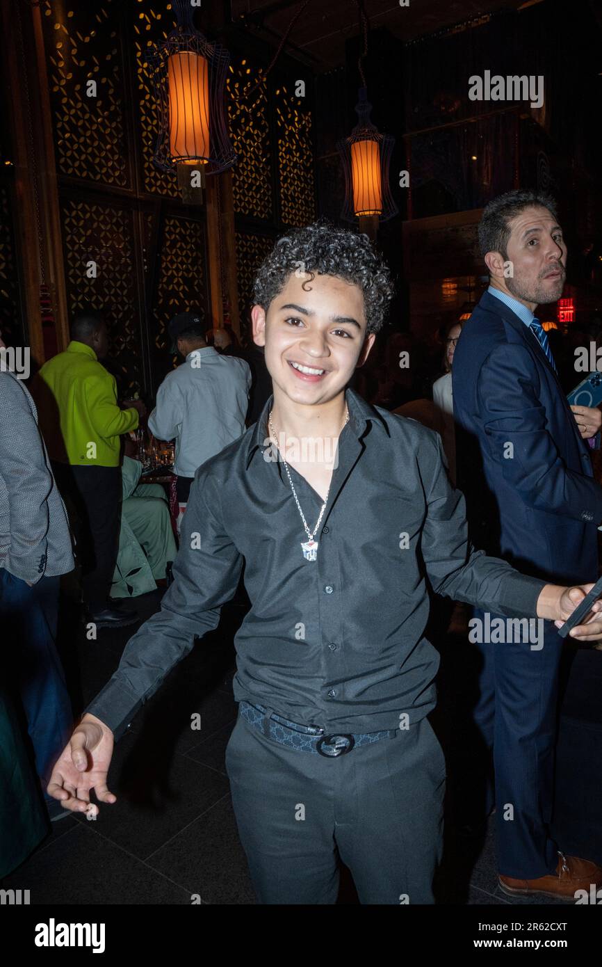 Transformers The Rise Of The Beasts New York City Red Carpet and ...