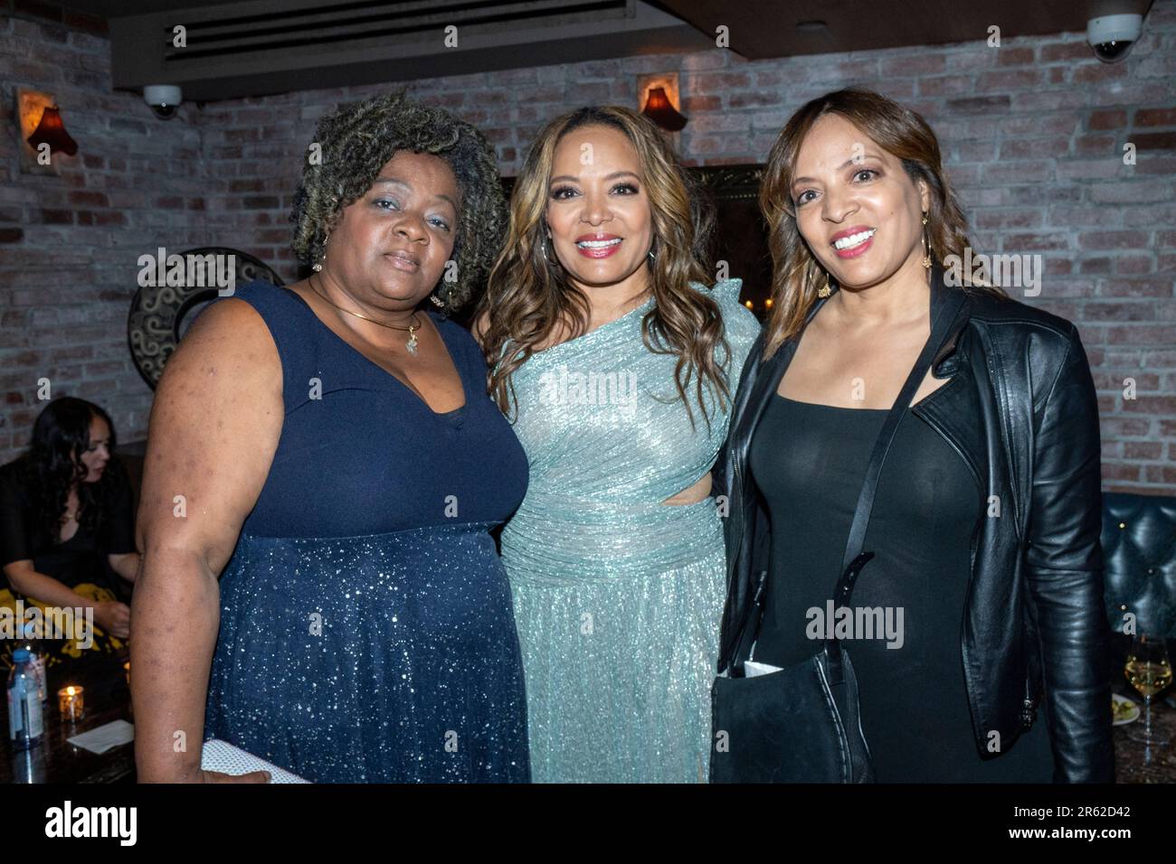 Transformers The Rise Of The Beasts New York City Red Carpet and ...