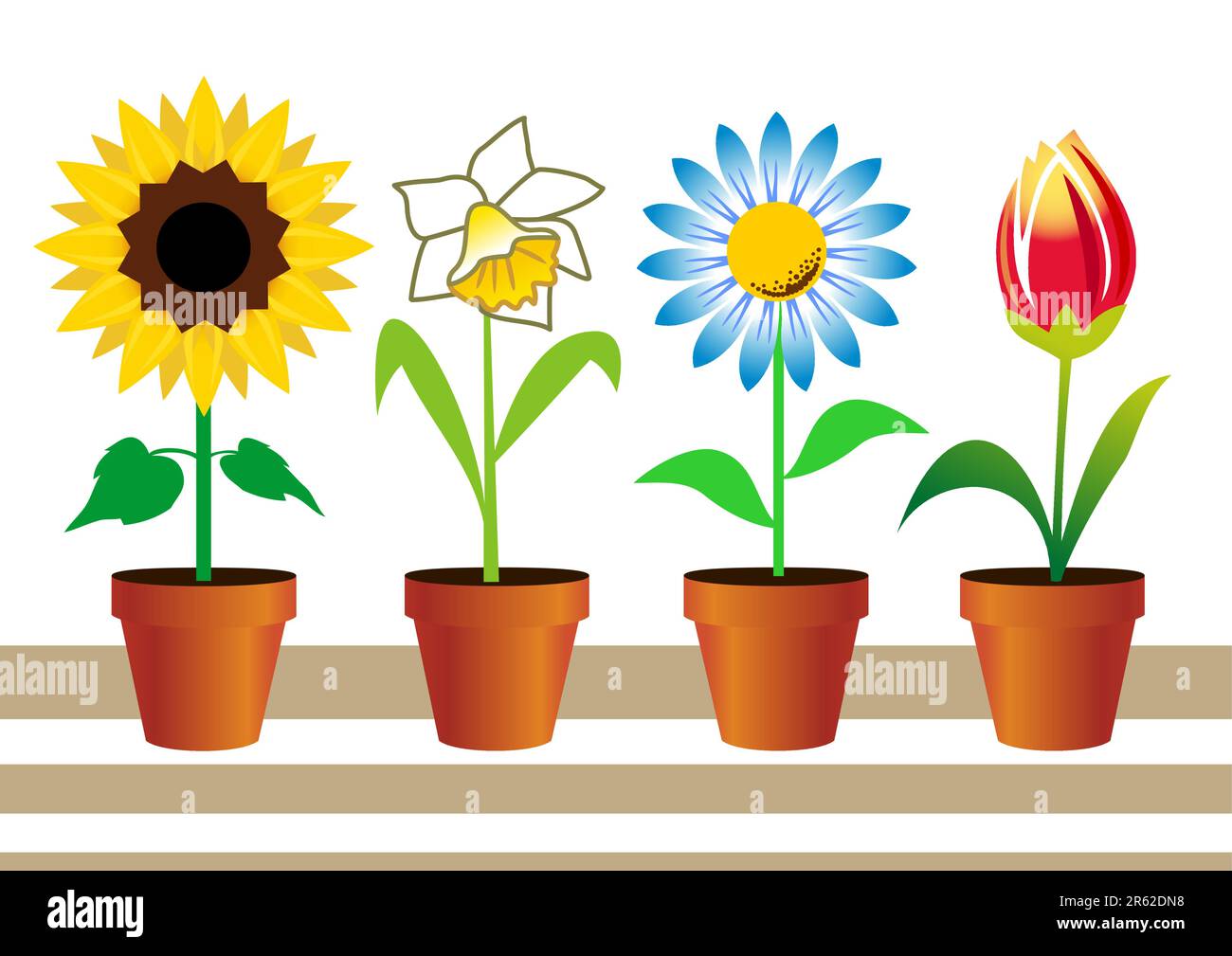Colorful spring flowers in pots, on white background. Vector ...