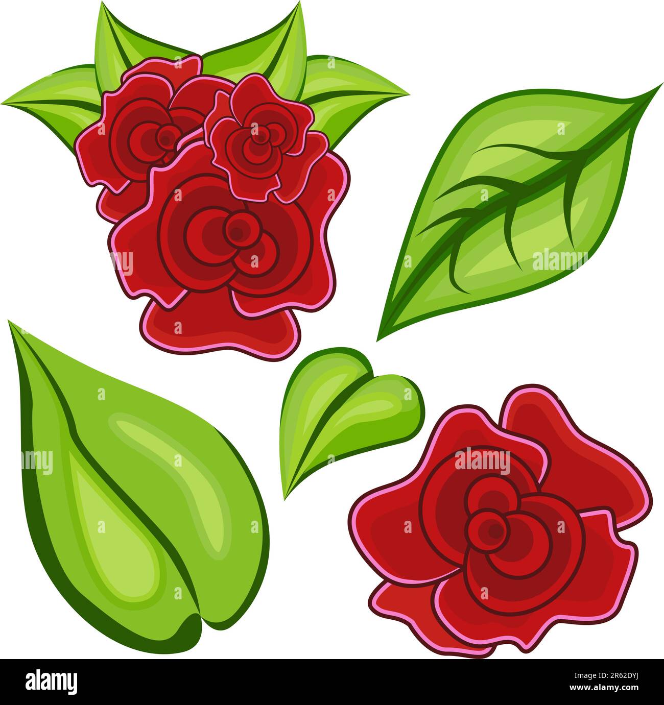 Cartoon roses and leaves isolated on a white background Stock Vector ...