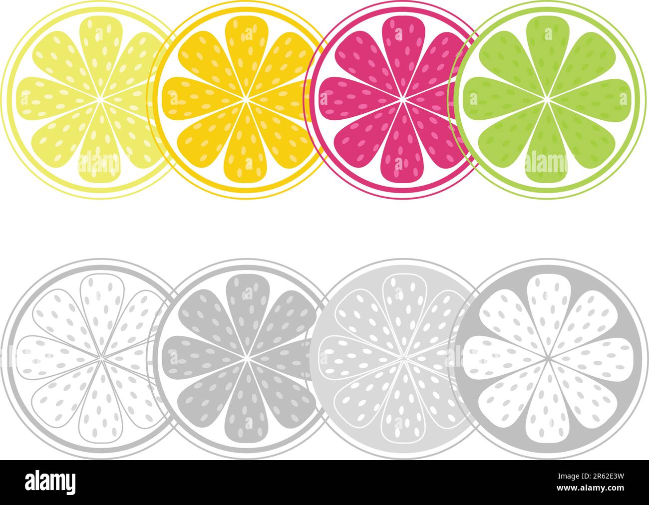 Stylized vector citrus slices set isolated on white background. Color and black&white version ...