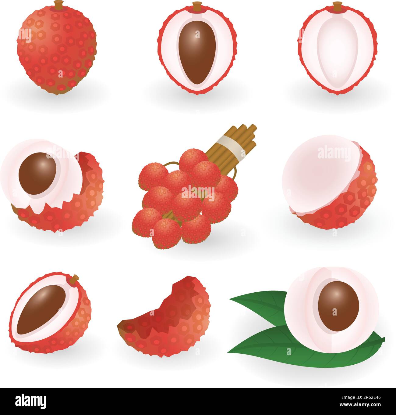 Vector illustration of lychee Stock Vector Image & Art - Alamy