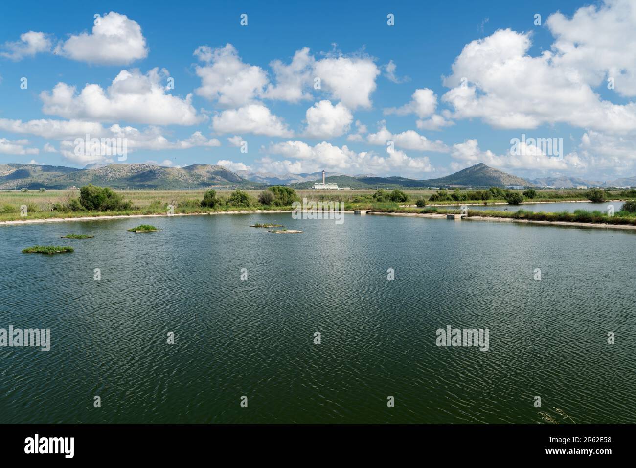 view of marsh and Depuradora water works, S'Albufera, Mallorca, Spain ...
