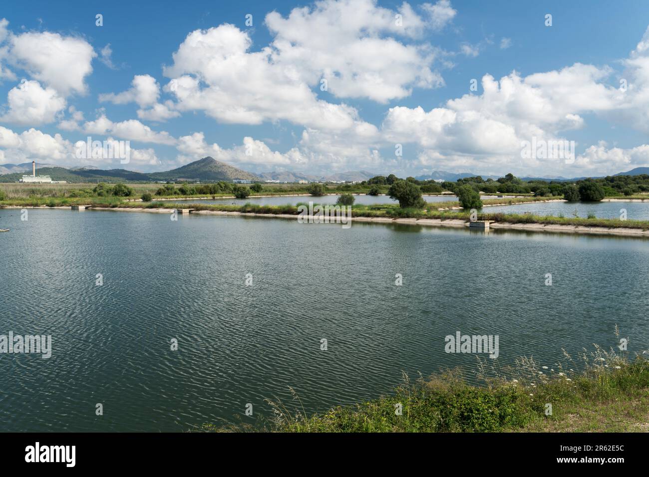 view of marsh and Depuradora water works, S'Albufera, Mallorca, Spain ...