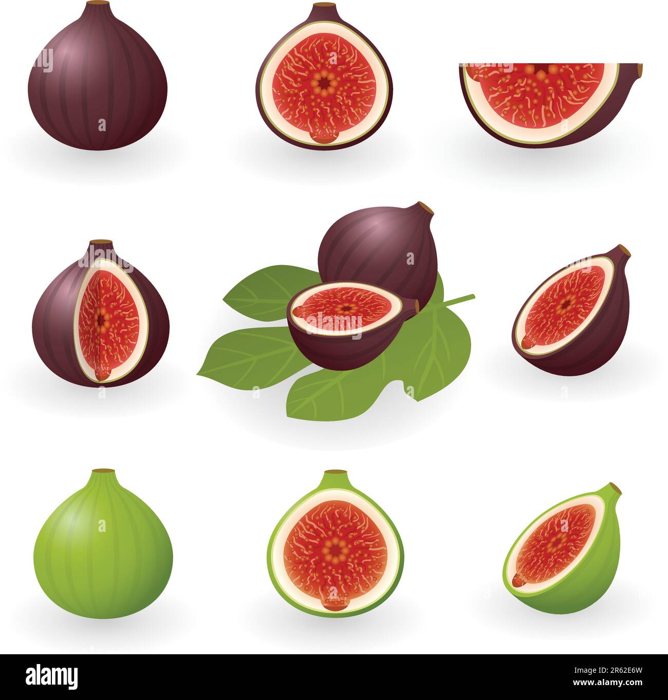 Vector illustration of figs Stock Vector Image & Art - Alamy