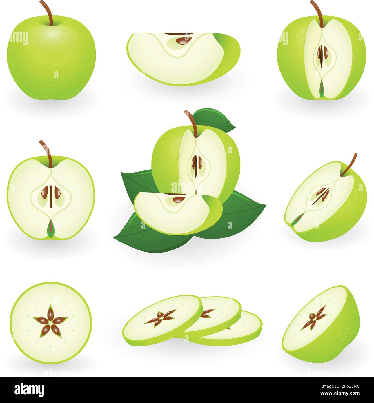 Vector illustration of green apple Stock Vector Image & Art - Alamy