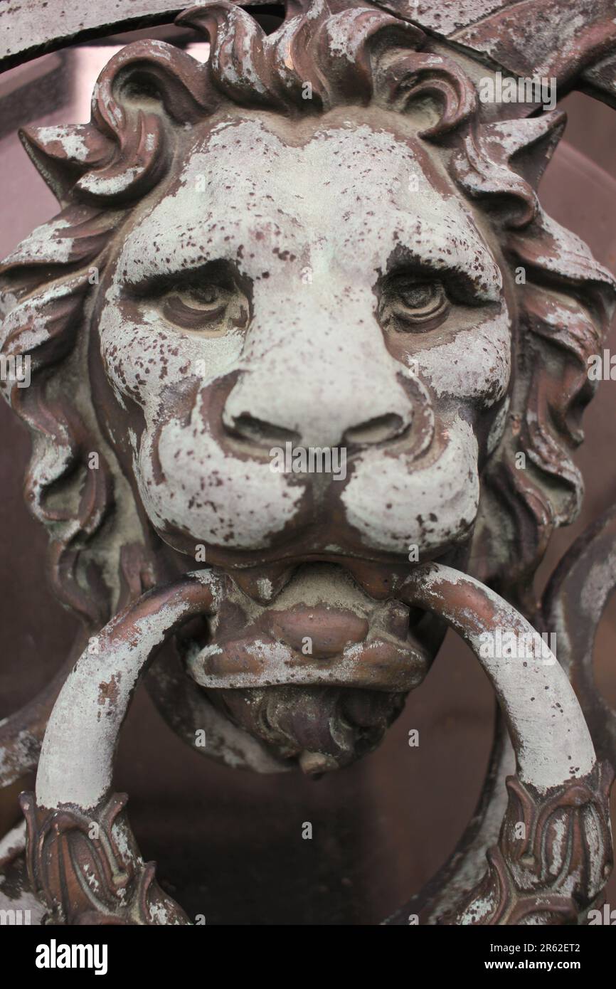 Fancy lion's head door pull with a circular handle Stock Photo - Alamy
