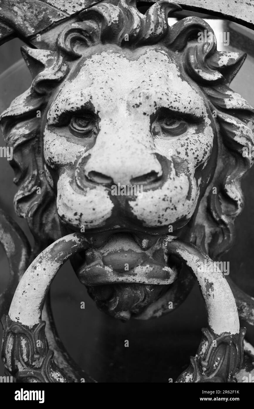 Fancy lion's head door pull with a circular handle in a black and white ...