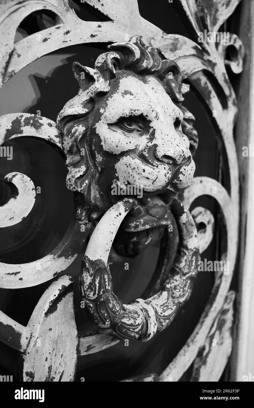 Fancy lion's head door pull with a circular handle in a black and white ...