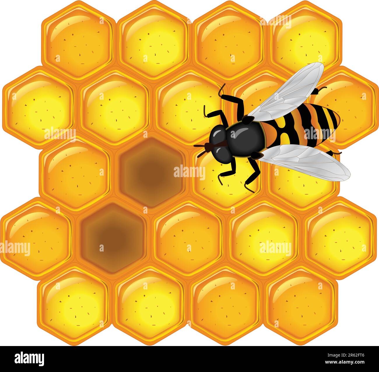 Golden bee painting Stock Vector Images - Alamy