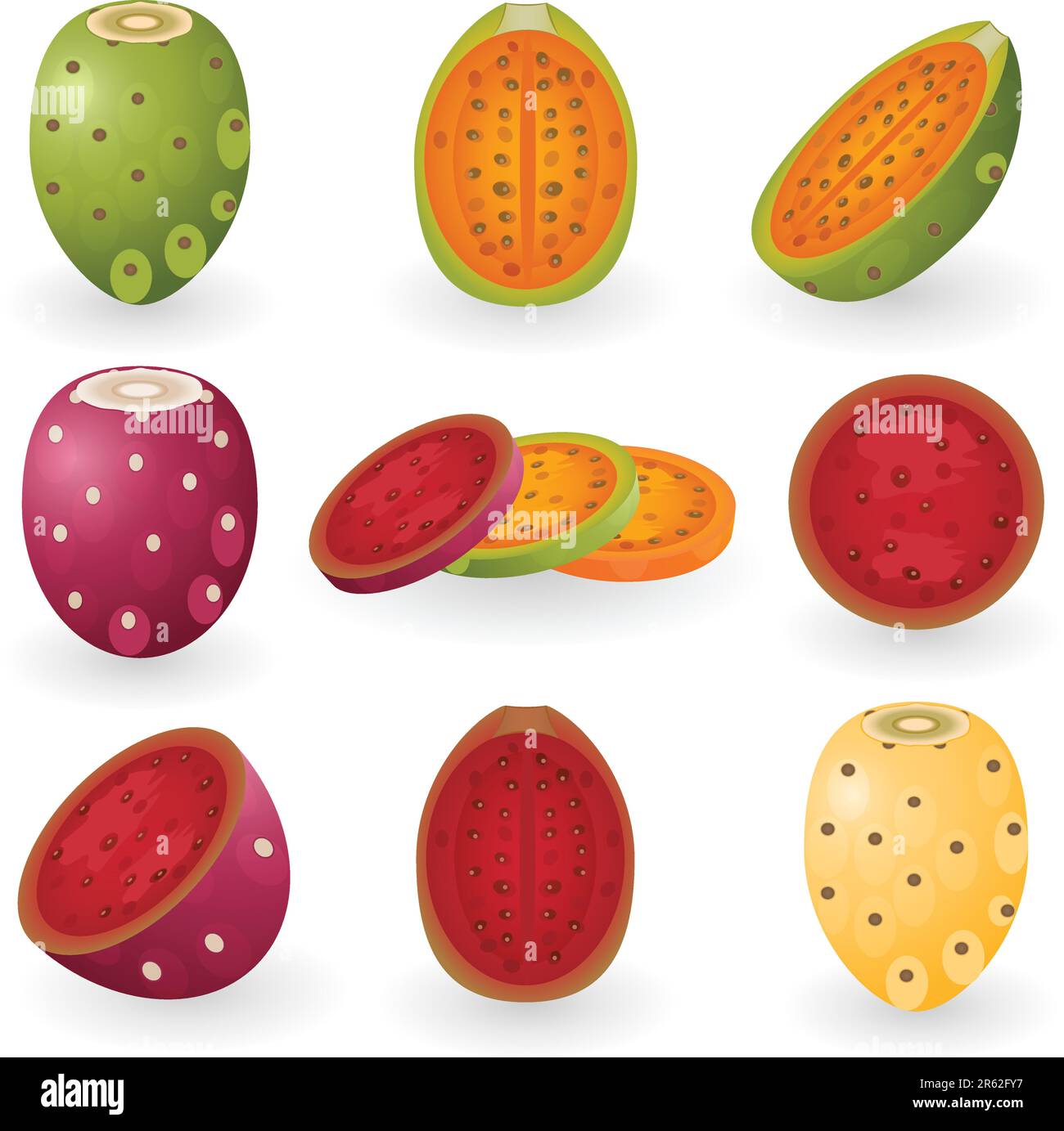 Prickly pear color icon Stock Vector Images - Alamy