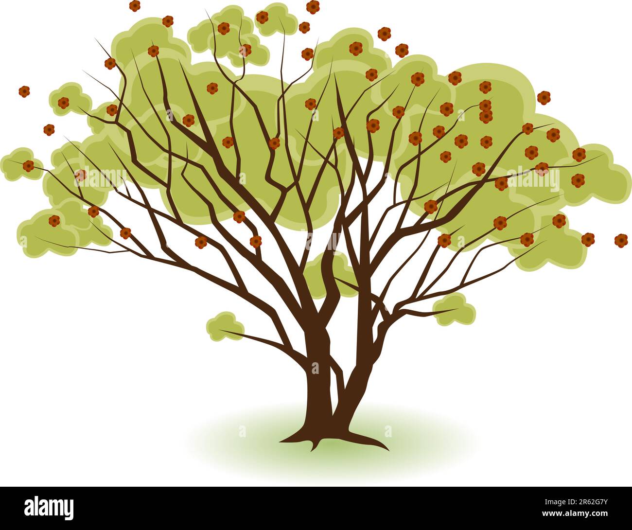 Two trees growing together isolated on a white background Stock Vector ...