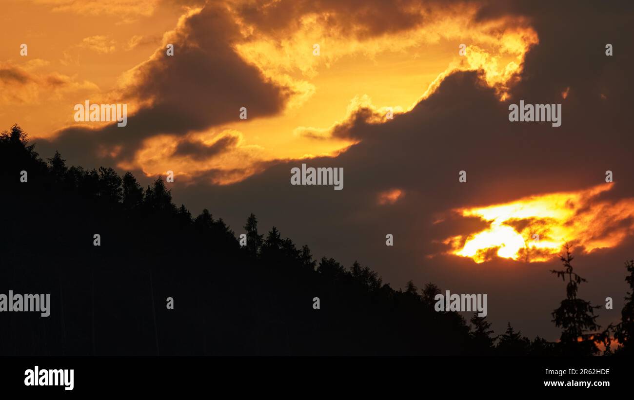 Sun setting down through clouds, above hill with coniferous trees silhouettes Stock Photo - Alamy
