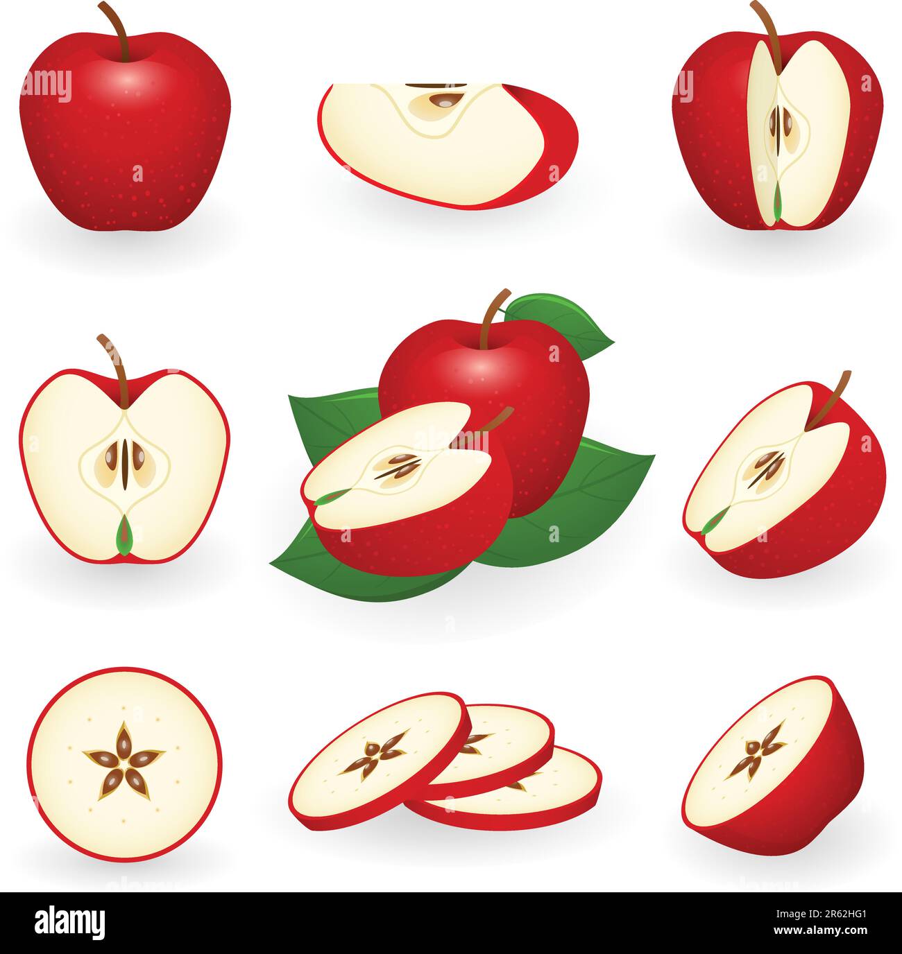 Vector illustration of red apple Stock Vector Image & Art - Alamy