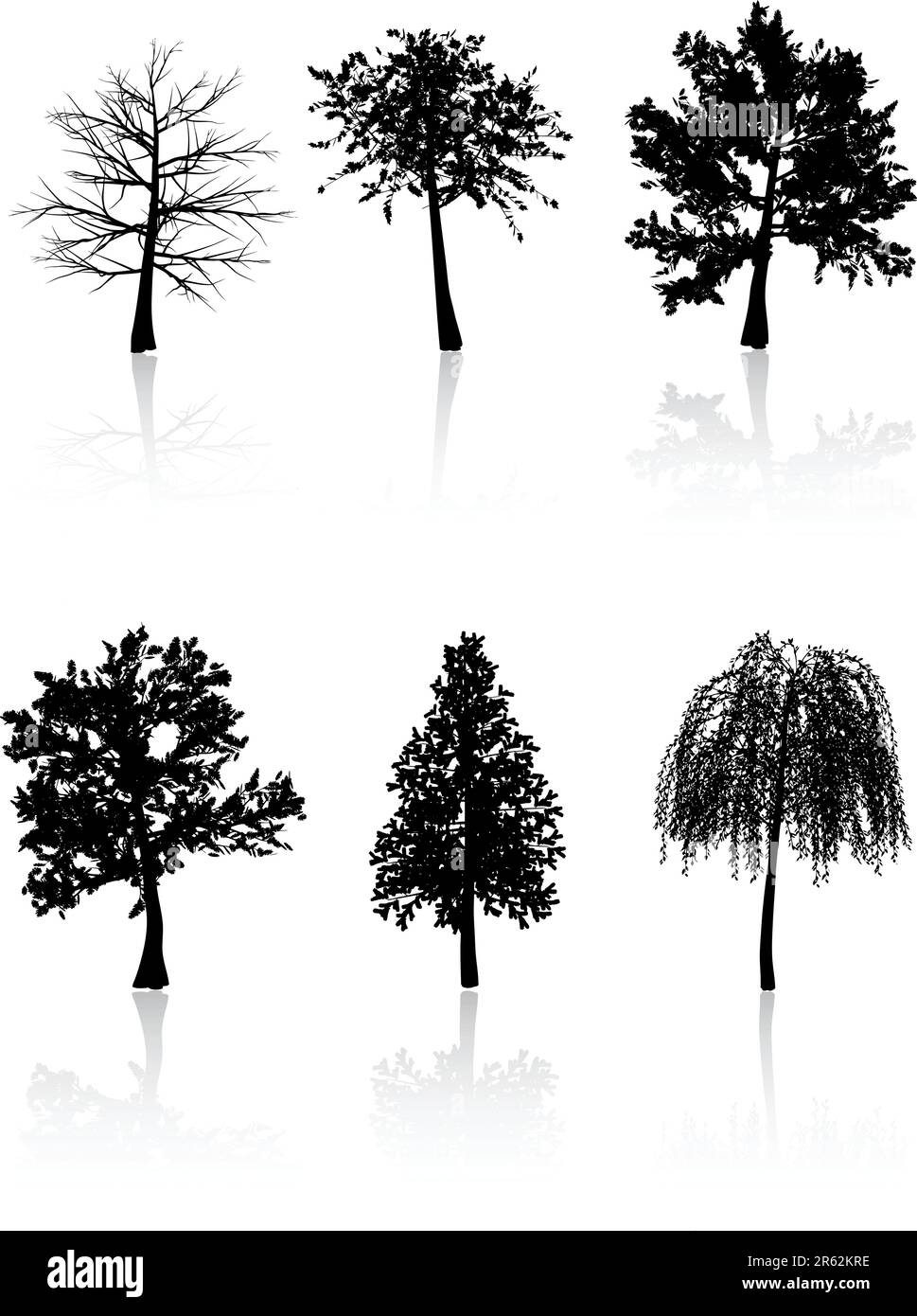 Various detailed tree silhouettes Stock Vector Image & Art - Alamy