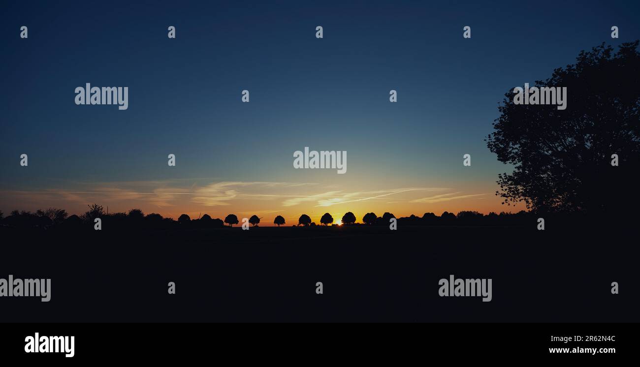 A beautiful sunset is visible over a lush green grassy field, with the ...