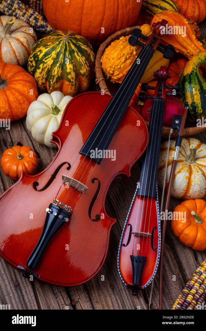 Traditional indian musical instruments hi-res stock photography and ...