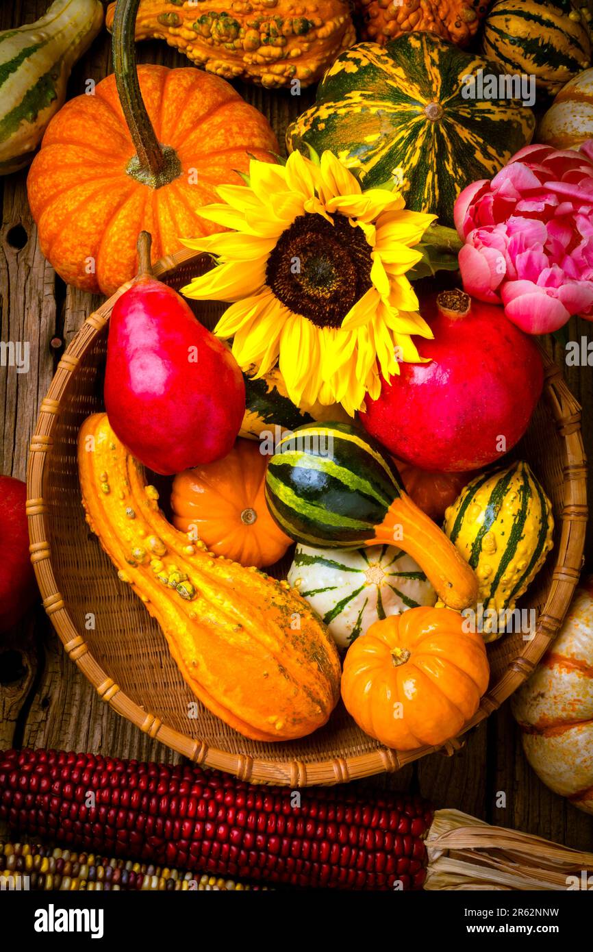 Autumns Abundance Still Life Stock Photo - Alamy