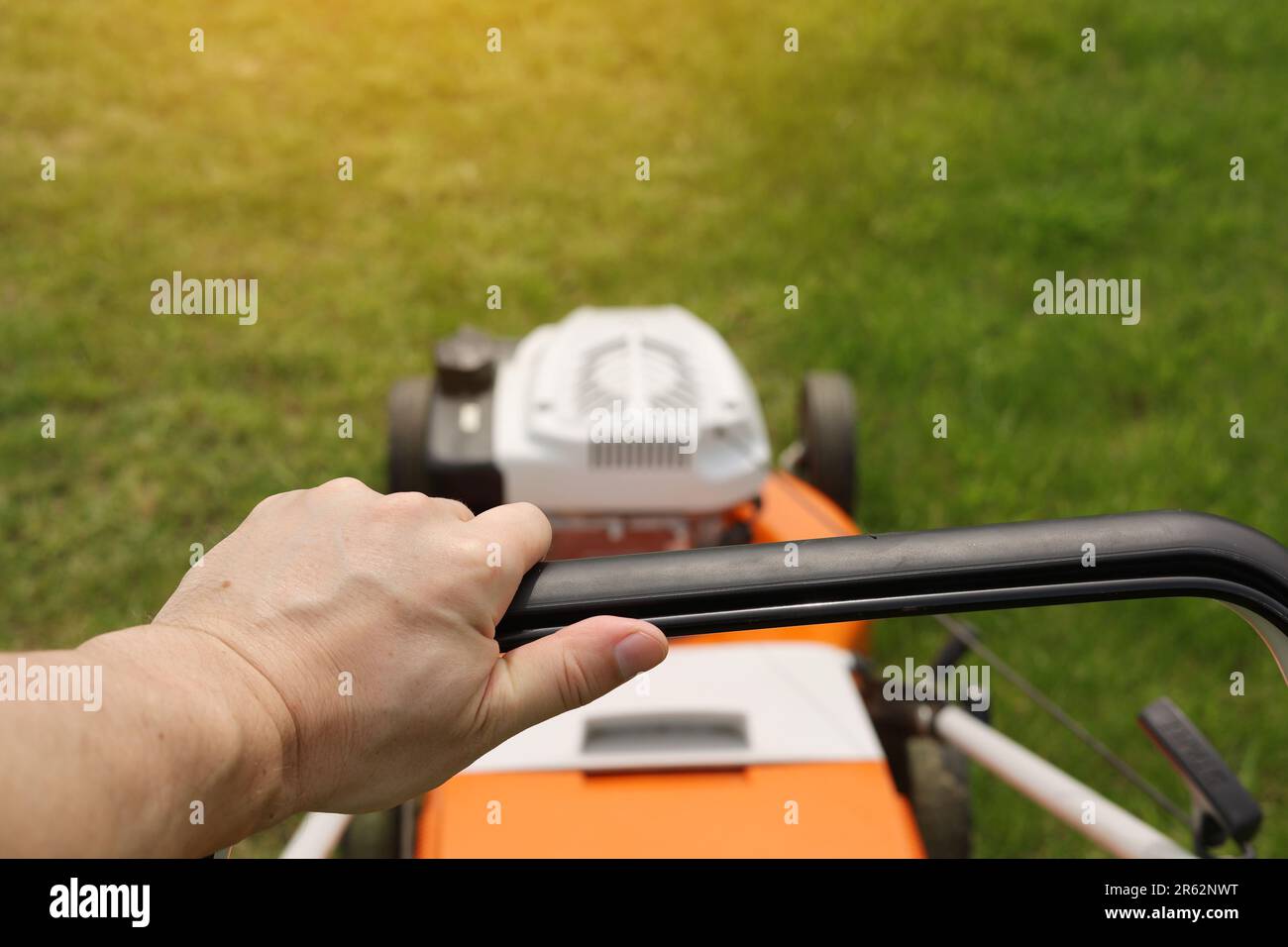 Cropped photo of professional male gardener is trimming and caring ...