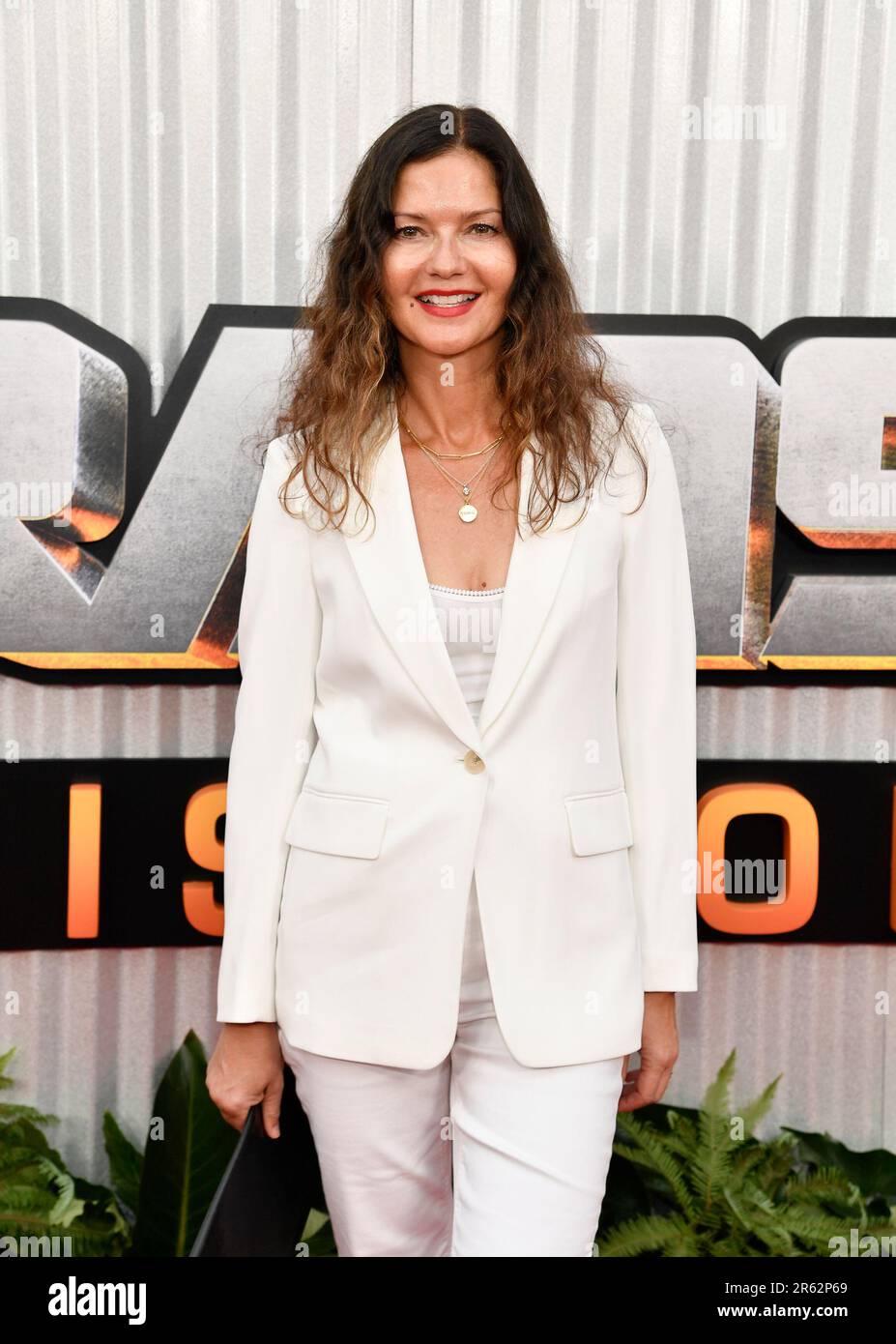 Jill Hennessy attends the premiere of "Transformers: Rise of the Beasts ...