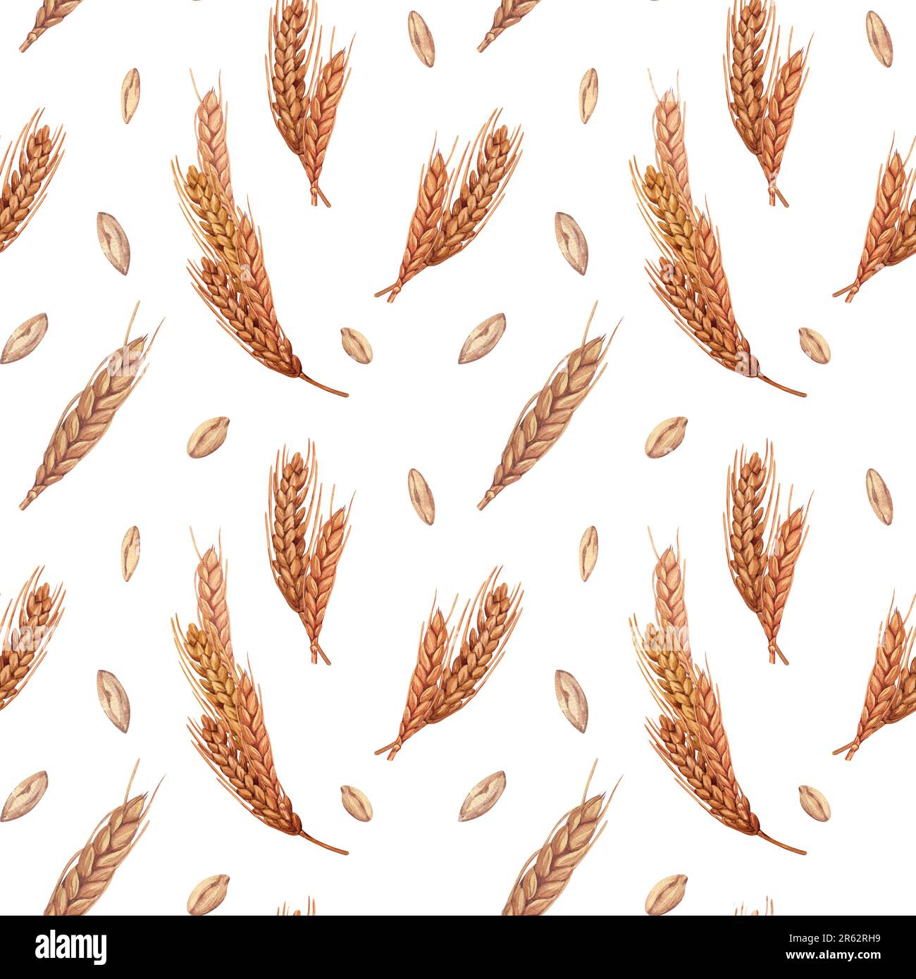 Watercolor seamless wheat spikelet pattern background with wheat spica ...