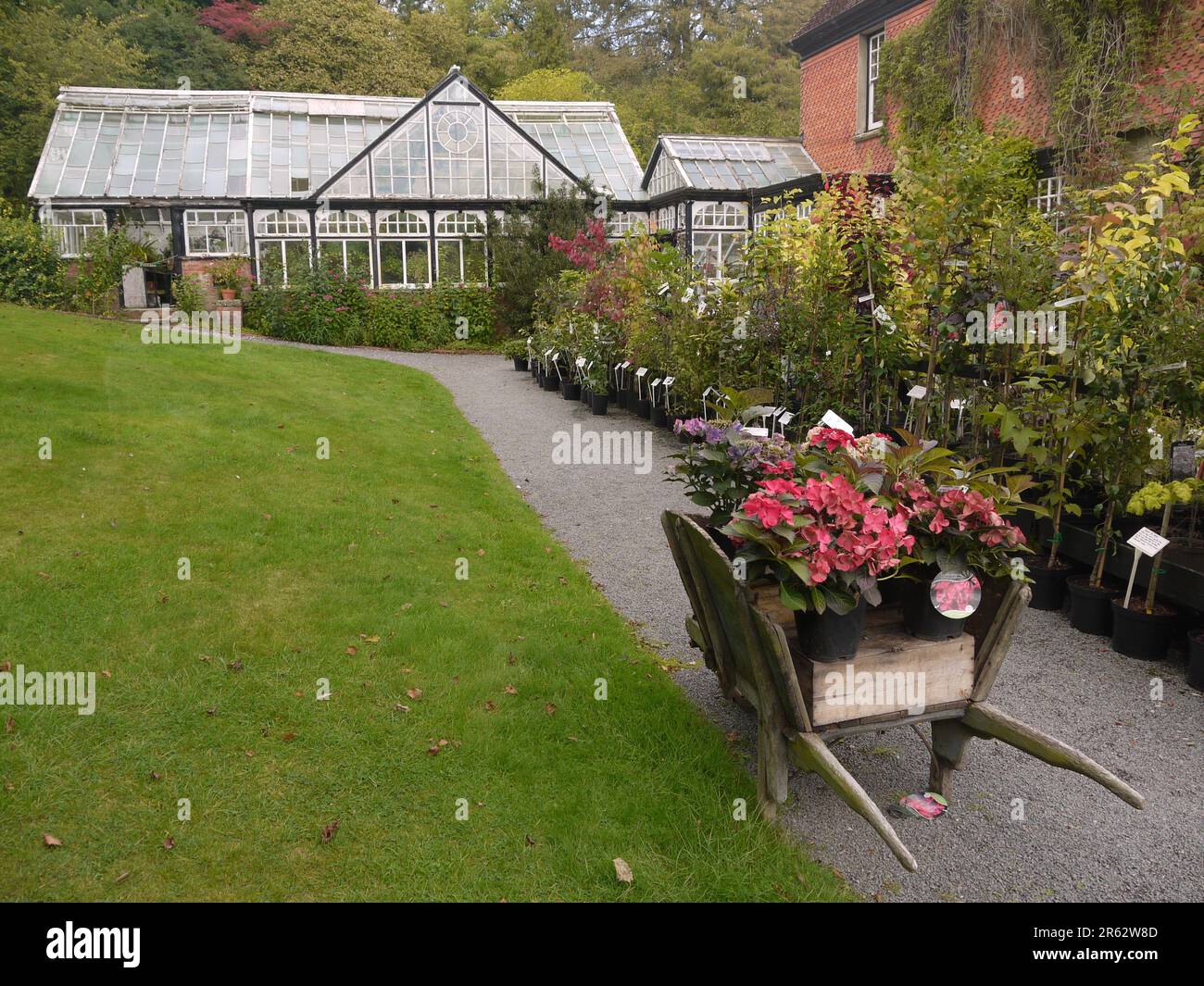 A decorative wooden wheelbarrow full of Hydrangeas parked in front of ...
