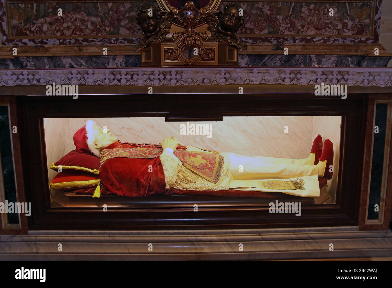 The statue of Pope Pius the 9th in the Cathedral of the Assumption of ...