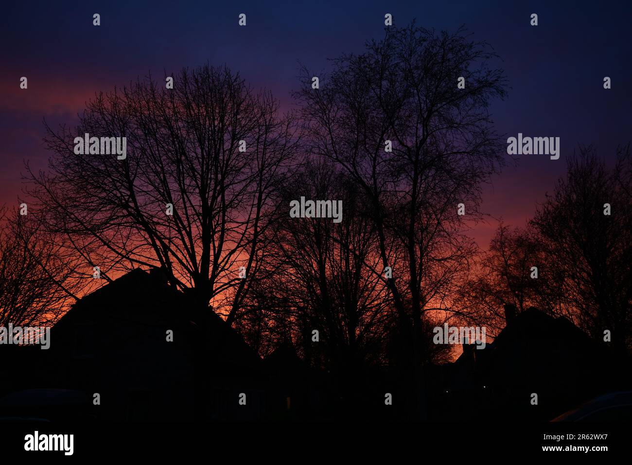 Contrast to background hi-res stock photography and images - Alamy