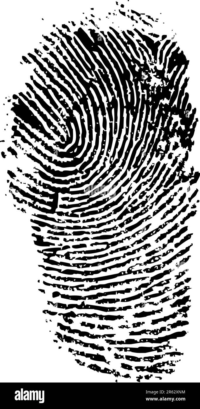 detailed finger print - vector illustration Stock Vector Image & Art ...
