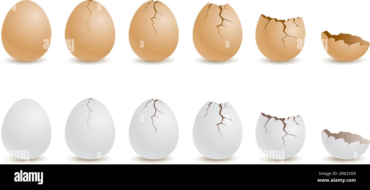 Egg to eggshell pattern design Stock Vector Image & Art - Alamy