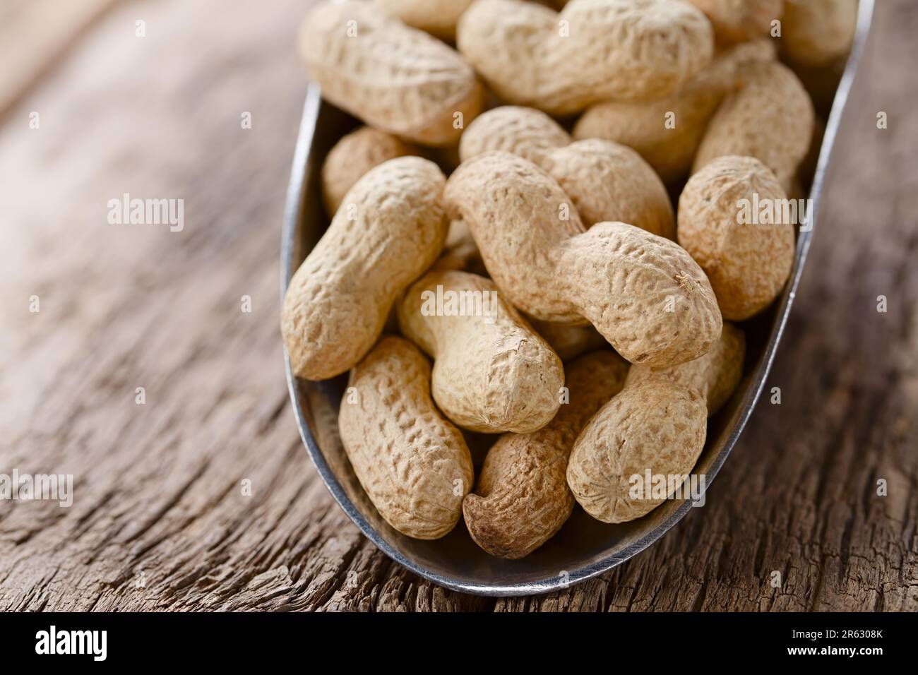 Unshelled peanut or groundnut (lat. Arachis hypogaea) pods in metal ...