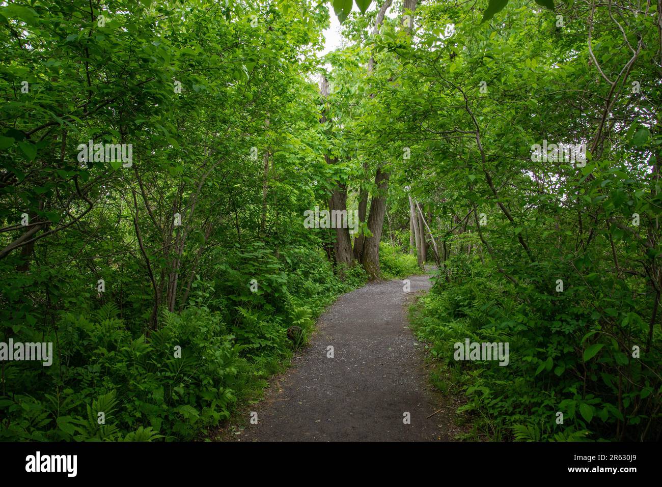Different angles of footpaths Stock Photo - Alamy