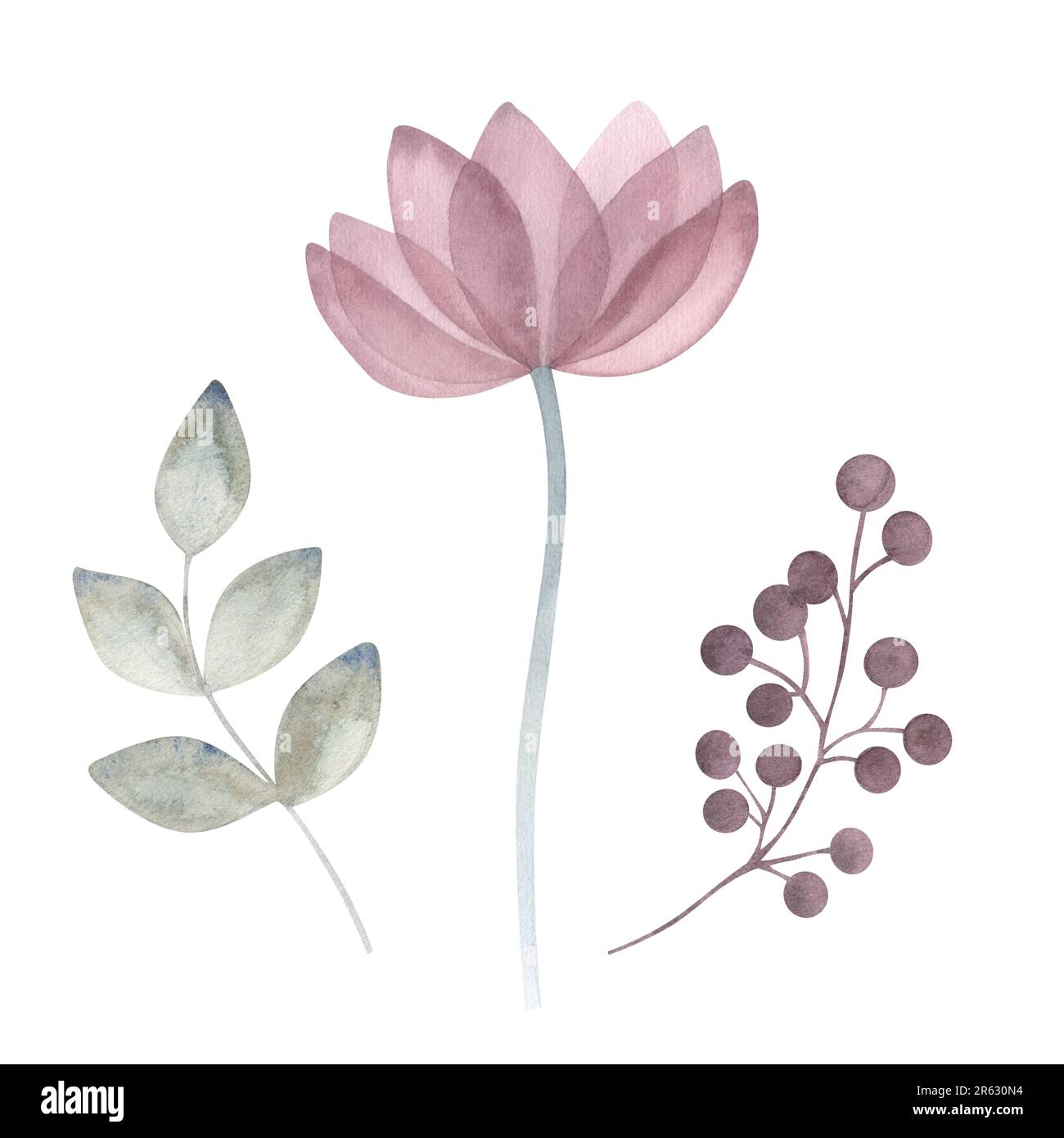 Transparent Watercolor Pastel Flowers