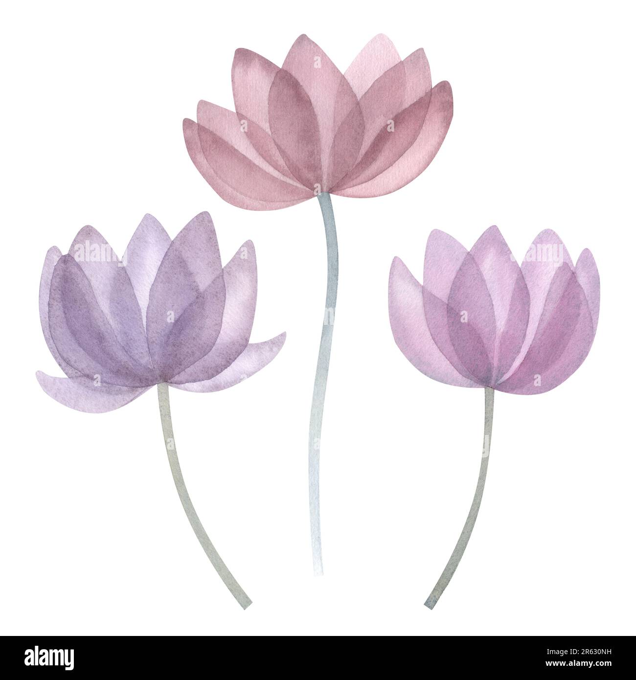 How To Draw A Lotus Flower
