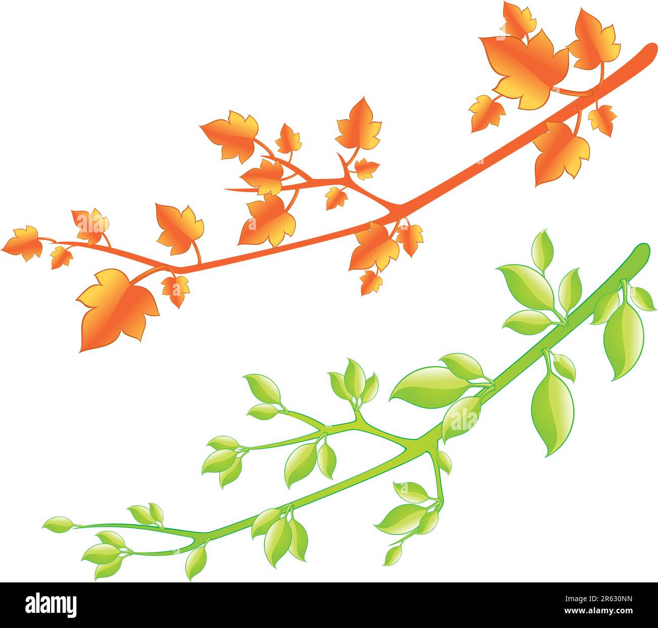 Branch and leaves design hi-res stock photography and images - Alamy