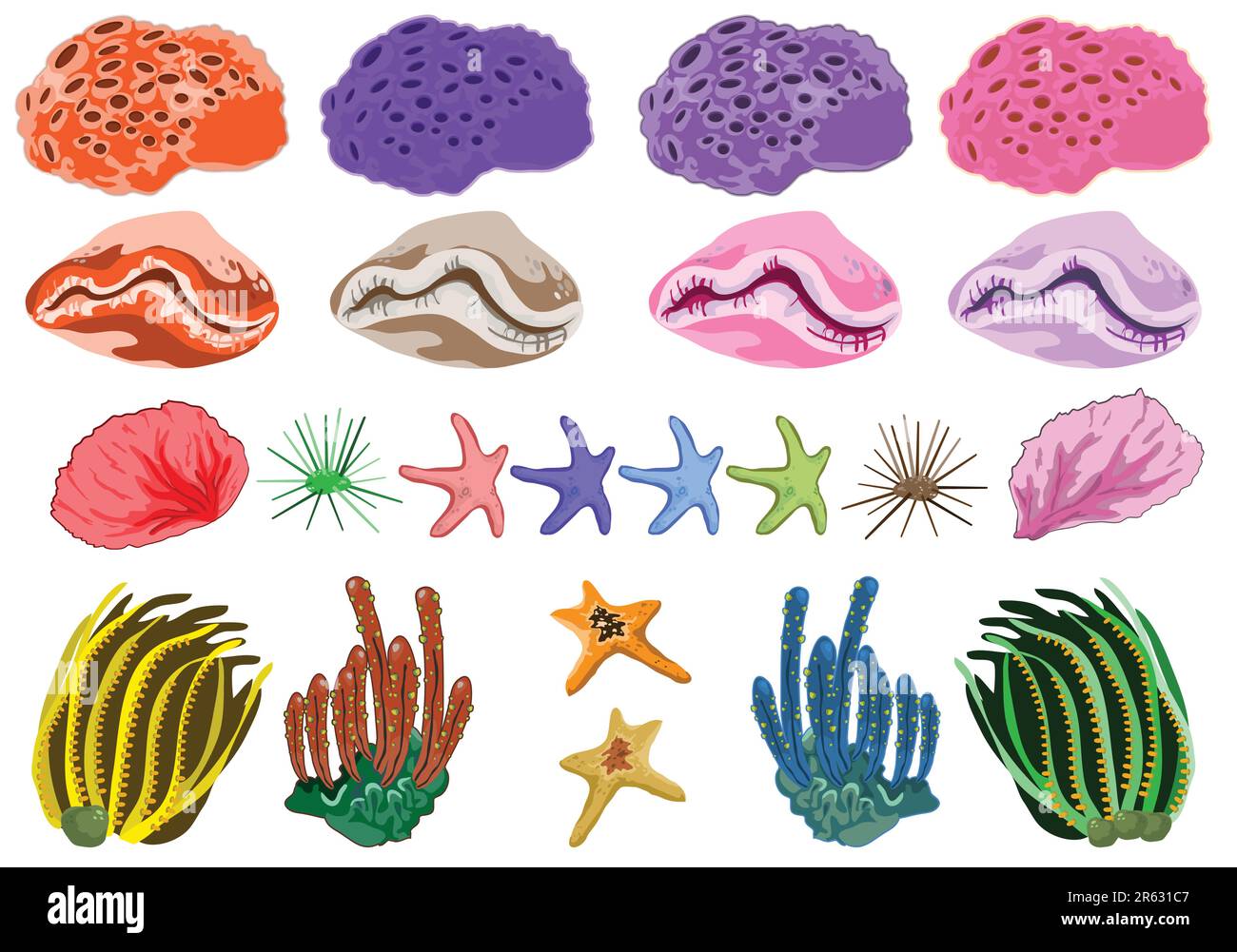 Living oyster in shell Stock Vector Images - Alamy