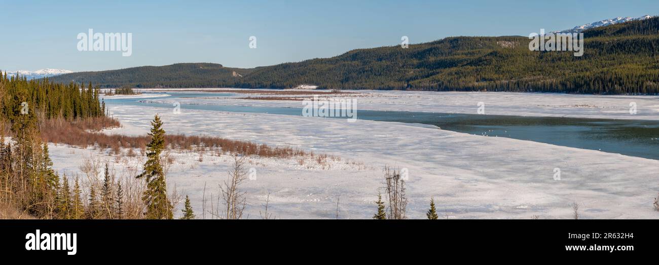 Spring time panoramic views along the Yukon River with blue, pristine ...