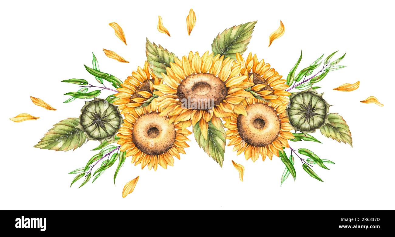 Watercolor sunflower bouquet isolated on white. Sunflowers, eucalyptus ...