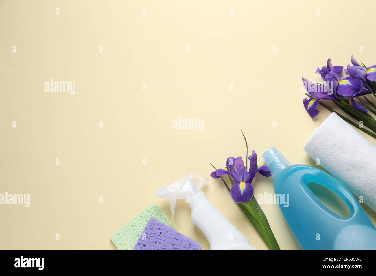 Spring cleaning. Detergents, flowers, sponge and rag on beige ...