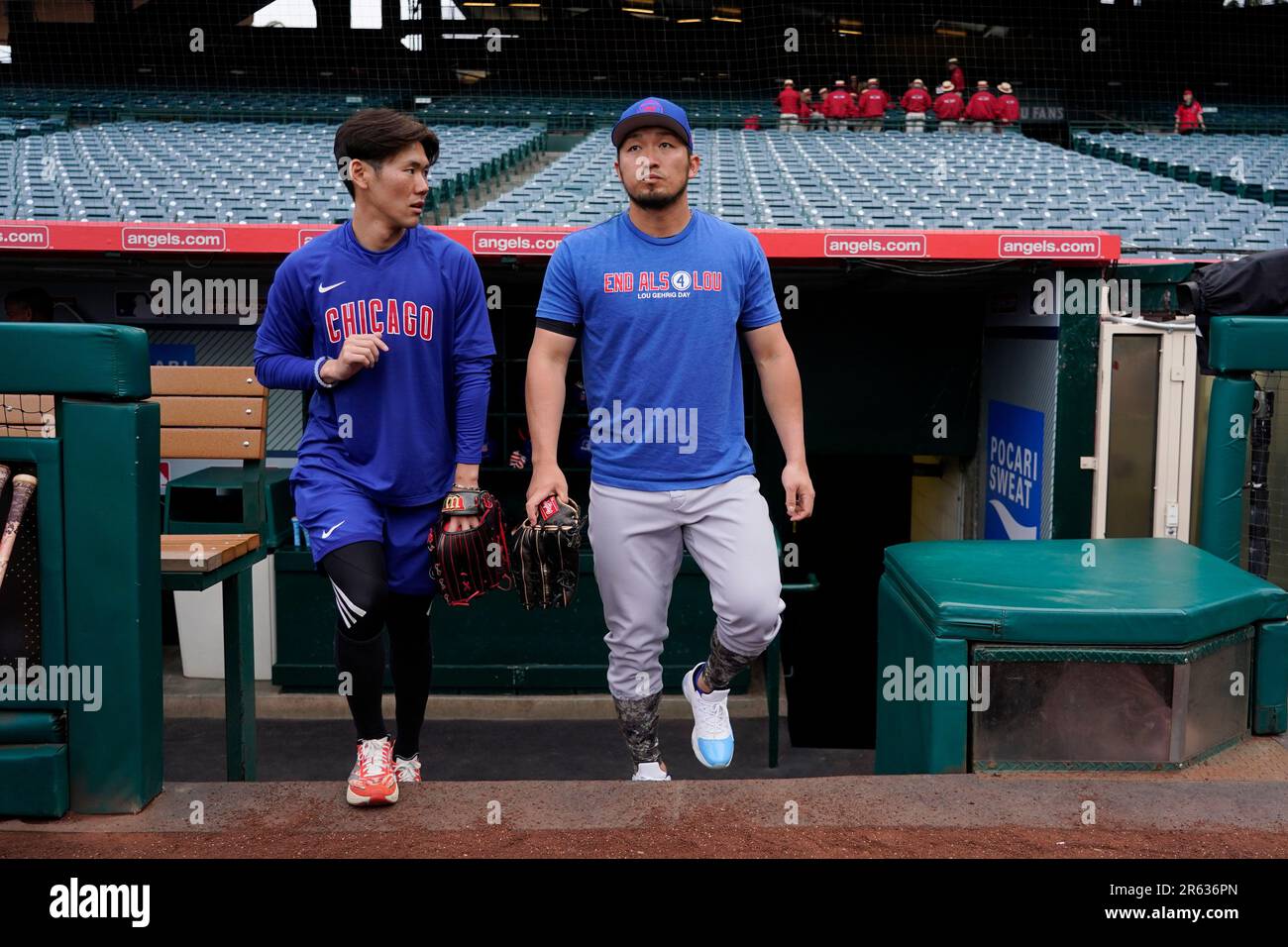 Chicago Cubs' Seiya Suzuki, right, and his interpreter, Toy Matsushita ...