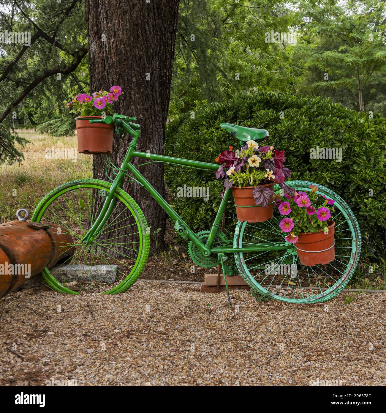 Green painted decorative bike holding flower pots full of flowers Stock ...